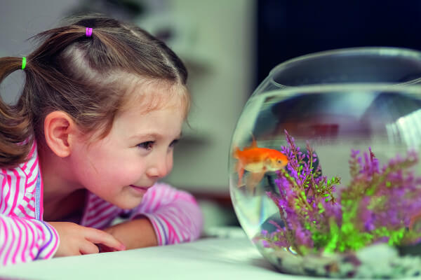 Happy Fish, Happy Child? - Living Magazines