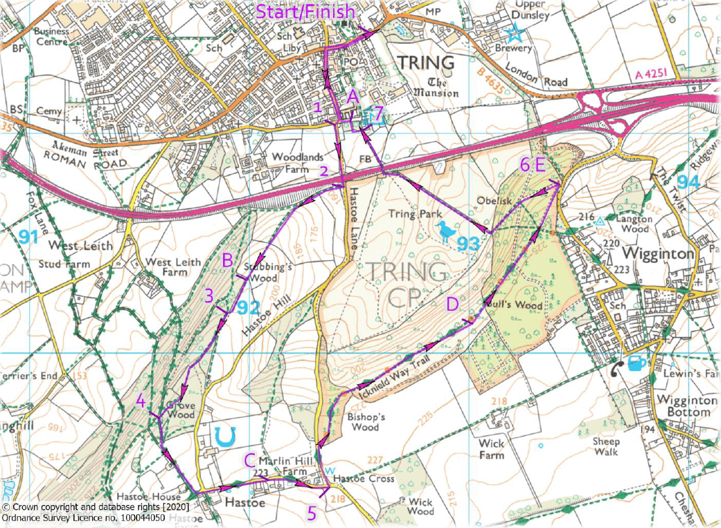 Circular Walk Around Tring Park - Living Magazines