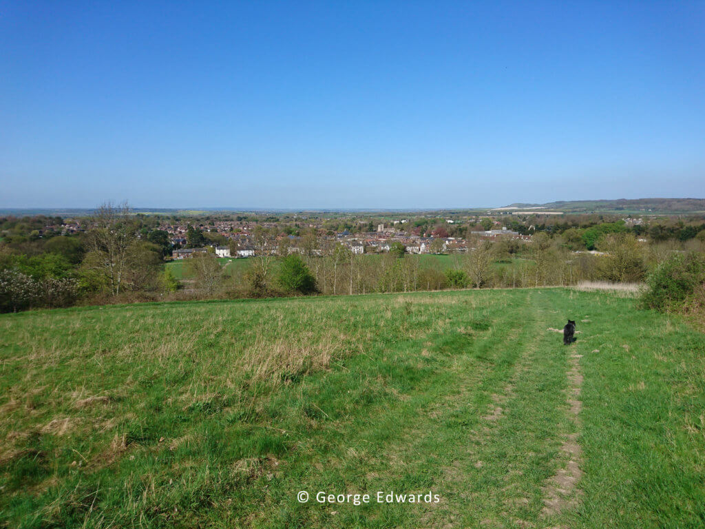 Pavis Wood Walk - Living Magazines